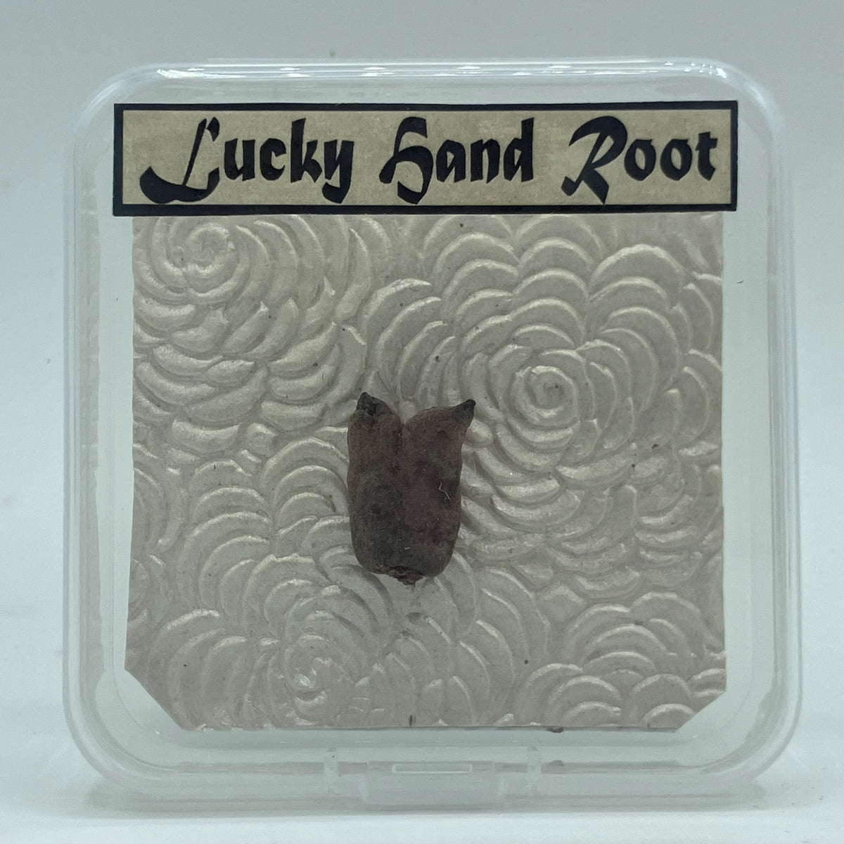 Lucky Hand Root – Allan Company